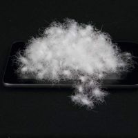 Quality 80% white goose down ,FP 700+ Cleanliness 1000+ for sale