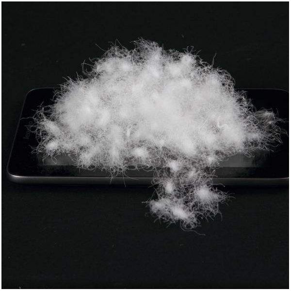 Quality 80% white goose down ,FP 700+ Cleanliness 1000+ for sale