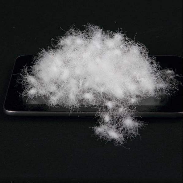 Quality 80% white goose down ,FP 700+ Cleanliness 1000+ for sale