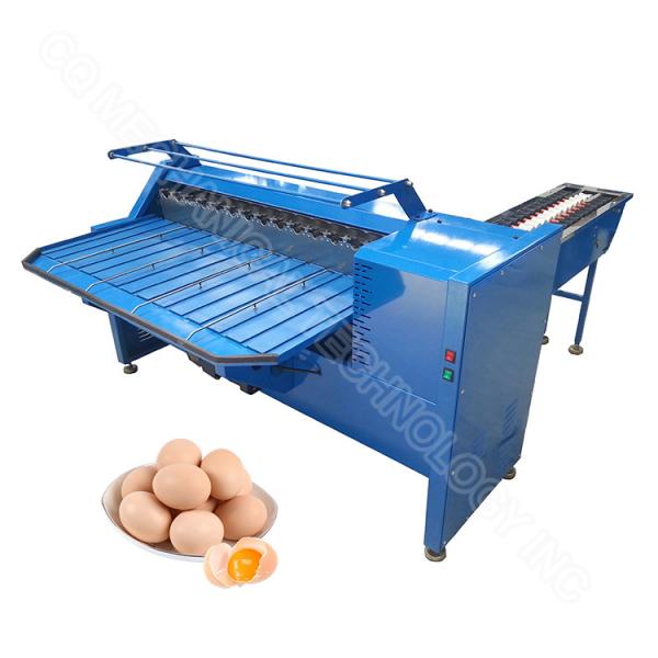 Quality Automatic Small Scale Egg Grading Machine Weight Classify Sorter 200w For for sale