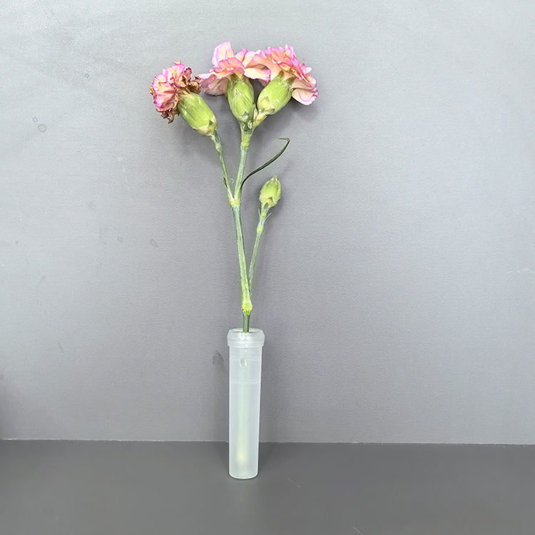2026 New Design 50Pcs Floral Water Tubes with Picks 11.8 Inch Matt Clear Plastic Extendable Vials Fresh Flower Stem Water Tubes with Caps for Floral Arrangements Bouquet Stem Florist Supplies