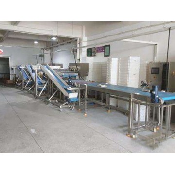 Quality Volumetric Automatic Food Processing Machine Electric Hamburger Patty Forming for sale