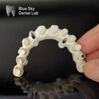 Quality Titanium Frame Malo Bridge Dental Custom Malo Implant Bridge for sale