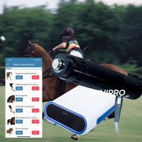Quality Ligament Injuries ESWT Equine Shockwave Machine 190mJ Max for sale