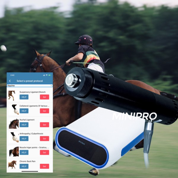 Quality Ligament Injuries ESWT Equine Shockwave Machine 190mJ  Max for sale