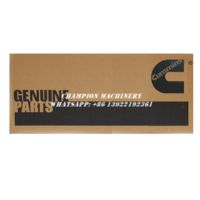 Quality KIT,OVERHAUL 4309178 FOR CUMMINS 4B3.9/6B5.9-genuine cummins parts for sale