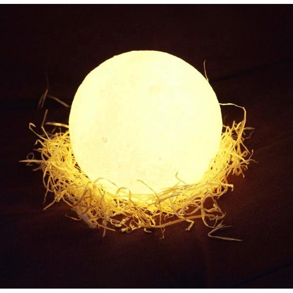 Quality 2700K LED Moon Space Lamp Environmental PLA 3D Printing 12cm x 15cm Null Design for sale