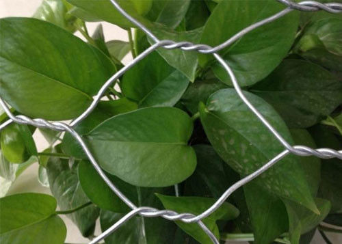 Quality Gabion Box for sale