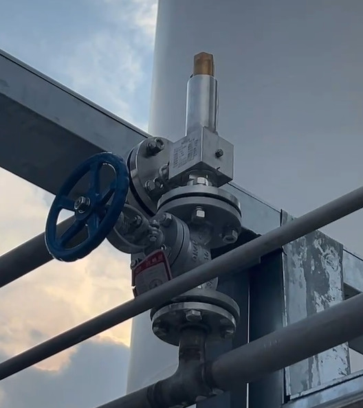 Quality Industrial Safety Valves for Maximum Protection and Performance for sale