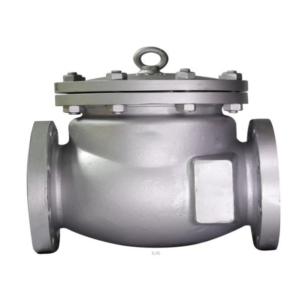 Quality Flanged ASTM A216 WCB Check Valve for sale