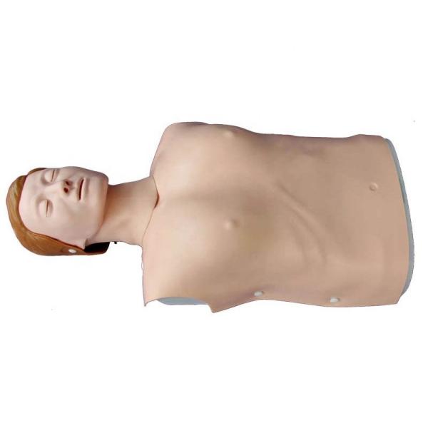 Quality Half Body CPR Training Manikin for Hospital Clinic and College CPR Technique Practice for sale