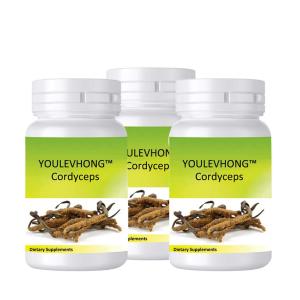 Quality Cordyceps Supplements Mushroom Extract Premium Helps To Balance And Optimize for sale