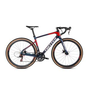 Quality Unisex Carbon Fiber Gravel Bike , RETROSPEC Gravel Bike 8.5KG Holographic for sale
