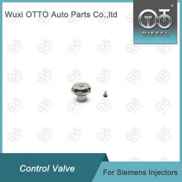 Quality Common Rail Control Valve For Siemens Injectors A2C59513554/5WS40539 Etc. for sale