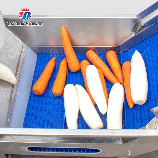 Quality Enhance Your Production with Our State-of-the-Art Fruit And Vegetable Processing for sale