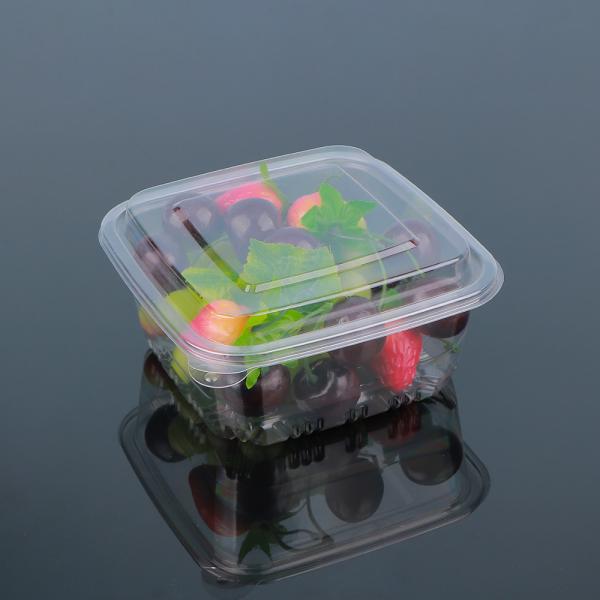 Quality Hengmaster Pet Clear Serving Oval Disposable Plastic Tray White for sale