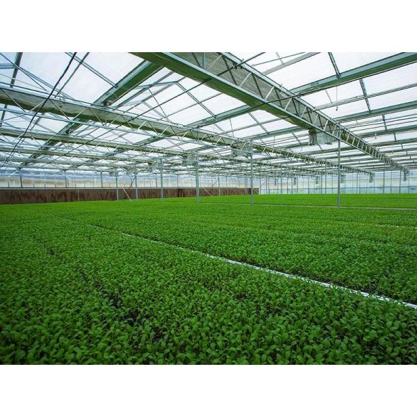 Quality Prefabricated Light Steel Structure Agricultural Vegetable Greenhouse Q235 for sale