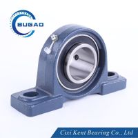 Quality Concrete Mixer Parts UCP214 Bearing Housing with Deep Groove Raceway and Bearing for sale