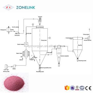 Quality Automatic Spray Drying Equipment Nail Glue Fish Spore Powder Spray Dryer for sale