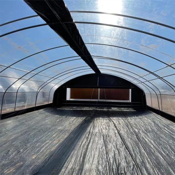 Quality 30ft Double Layer Film Greenhouse Light Deprivation Length 30-60m for sale