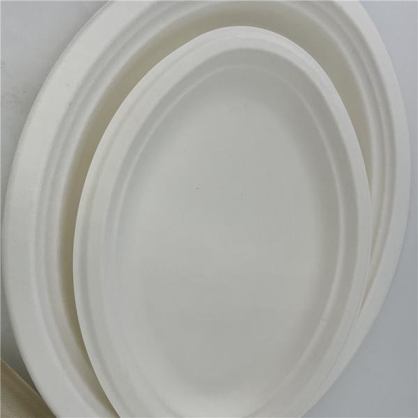 Quality Biodegradable Tableware Sugarcane Bagasse Pulp Paper Plate Dinnerware Sets for sale