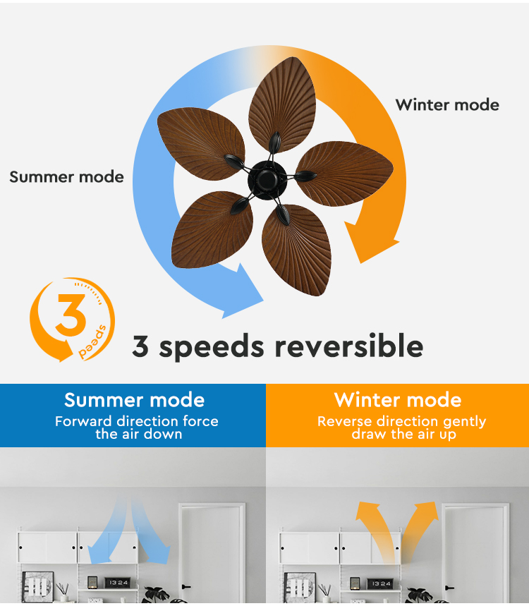 ceiling fan