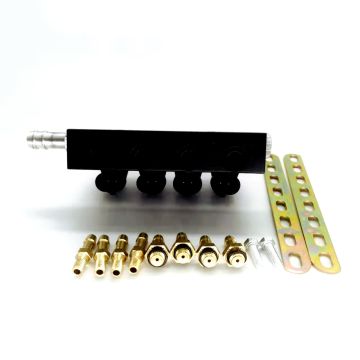 Quality Fuel Injection System LPG CNG Injector Rail 3 Ohm Resistance LN-LIG1S for sale
