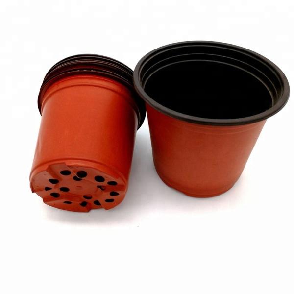 Quality PP Sun 15cm Width Plastic Flower Pots 12 Drainage Holes for sale