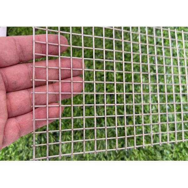 Quality 1/4'' 1/2'' Wide Stainless Steel Welded Mesh Screen Rolls with Square Hole for sale