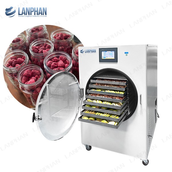 Quality 3M2 Lanphan Candy Cake Freeze Dryer Machine Fruit Vegetable Freeze Drying for sale