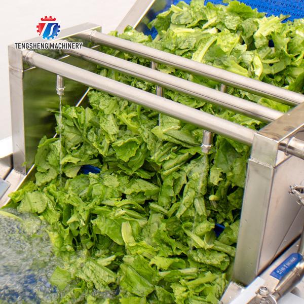 Quality 380V Integrating Spinach Washing Machine , Blasting Isolating Potato Cleaning for sale