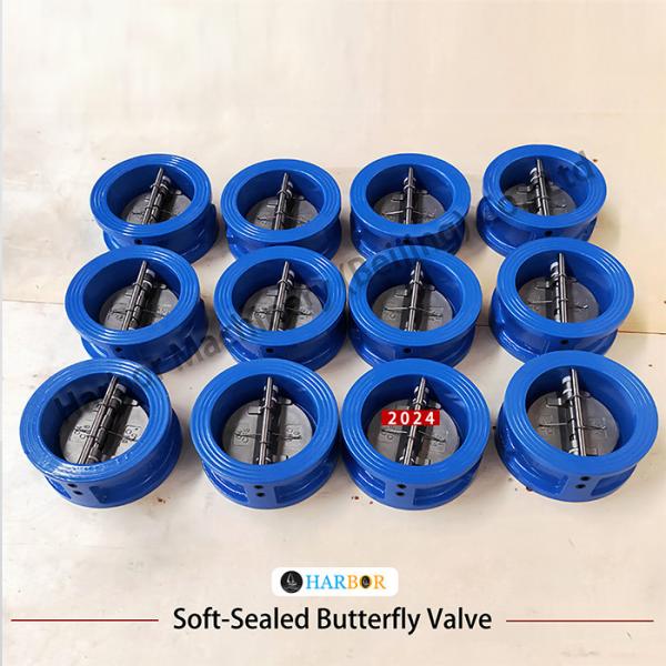 Quality Direct Supply from DH77X-10 Wafer Connection Check Valve with Cast Iron for sale