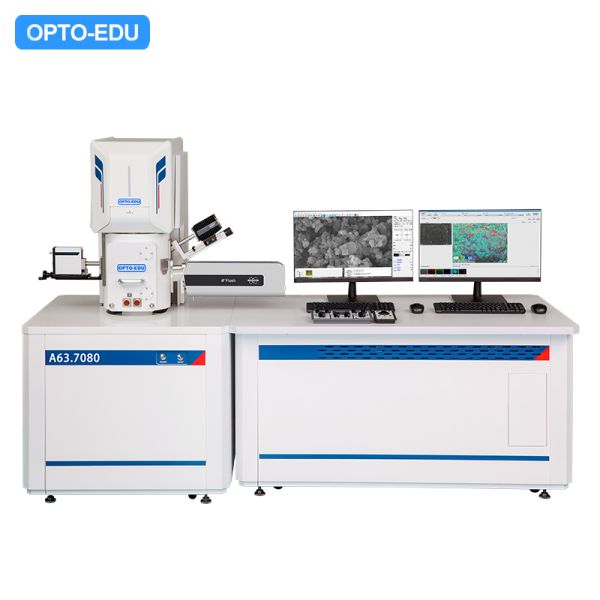 Quality 1x~600000x Emission Scanning Electron Microscope Schottky Gun A63.7080 Std Feg Sem for sale