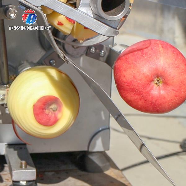 Quality 220V 0.55KW Intact Pulp Manual Rotating Rod Apple Peel And Core Machine 304 SS for sale