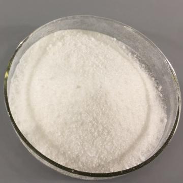 Stable Immobilized Lipase Enzyme Biocatalysing Specific Organic Reactions In