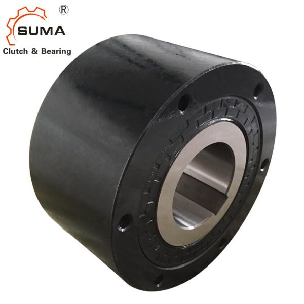 Quality BS110 Belt Conveyor Overrunning Clutch Bearing 250RPM for sale