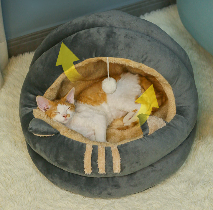 cheap cat beds amazon