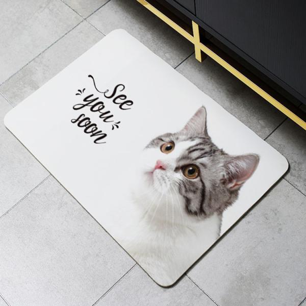 Quality 4mm Thick Non Slip Diatomite Bath Mat For Bathroom for sale