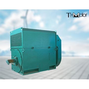 Quality 11000v Variable Speed Three Phase Asynchronous Motor IP55 for sale