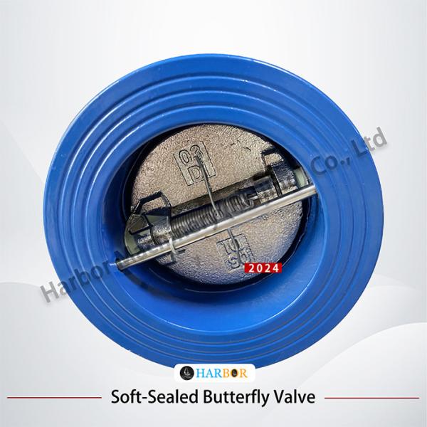 Quality Direct Supply from DH77X-10 Wafer Connection Check Valve with Cast Iron for sale