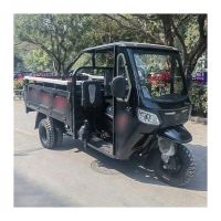 Quality Maximum Speed 50-70Km/h Automatic Gasoline Powered 3 Wheel Trike Motorcycle for for sale