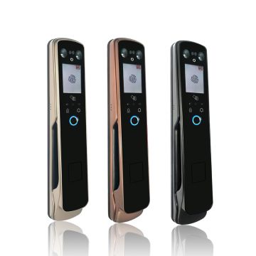 Quality Face/Fingerprint/Palm/Card/Password Recognition Verification smart Wireless Door for sale