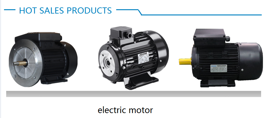 hollow shaft motor