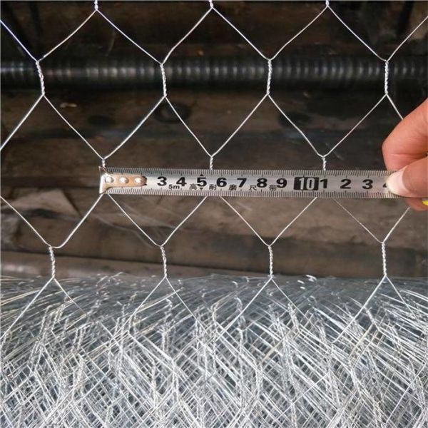 Quality 1/2 inch 1m Chicken Wire Mesh Roll Hot Dipped Galvanized Hexagonal Wire Mesh for sale