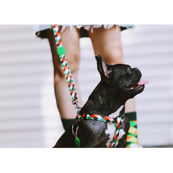 Quality 9m 30 Foot Polyester Anti Pull Dog Leash Freedom Reclaimed Material Polyester for sale