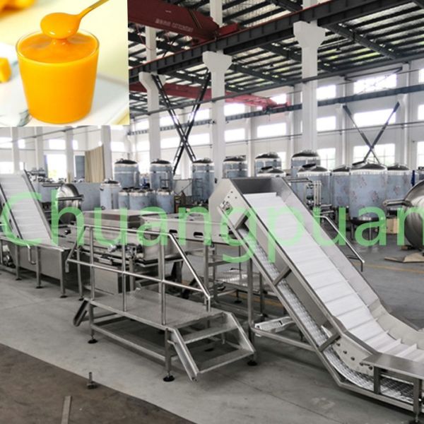 Quality 380V 410V 20KW Mango Pulp Making Machine Stainless Steel for sale