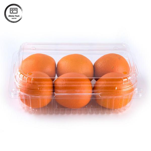 Quality Disposable Hinged Transparent PET Clamshell Fruit Containers for Orange for sale