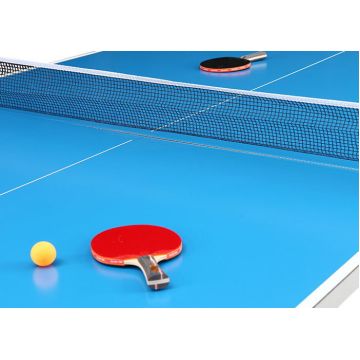 Quality Easy Install Blue Ping Pong Table , Aluminum Ping Pong Table Movable With Logo for sale