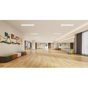 Quality Dance Room Ceiling Tile 2/2/0.5mm Microperforated Acoustic Panels Soundproofing for sale