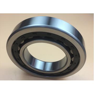 Quality NJ222 EXCAVATOR Diesel Engine Bearing for sale